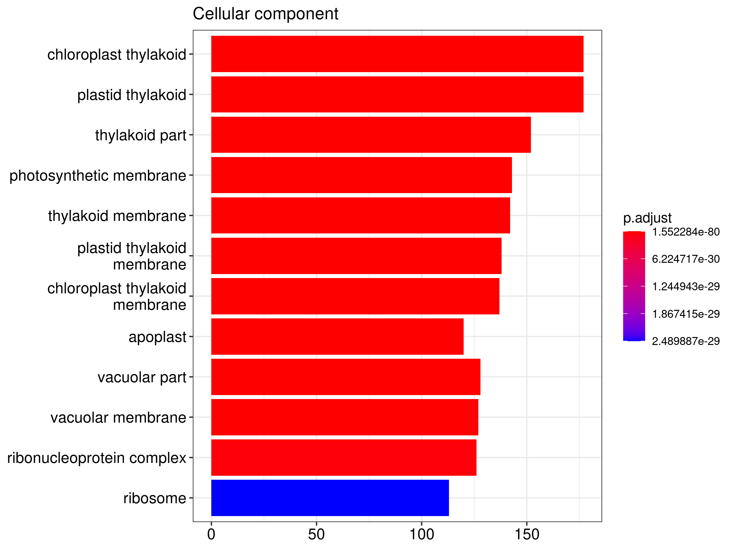 PRMD | Results